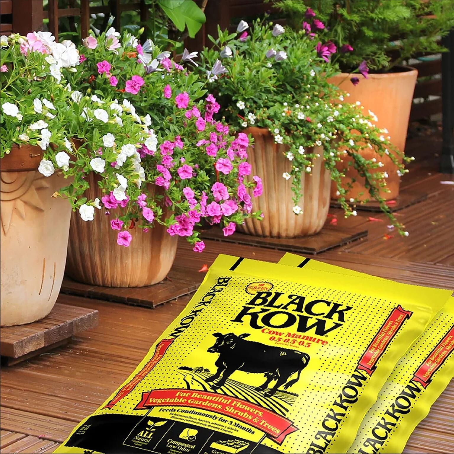 Black Kow – Cow Manure | Nursery Supply Co.