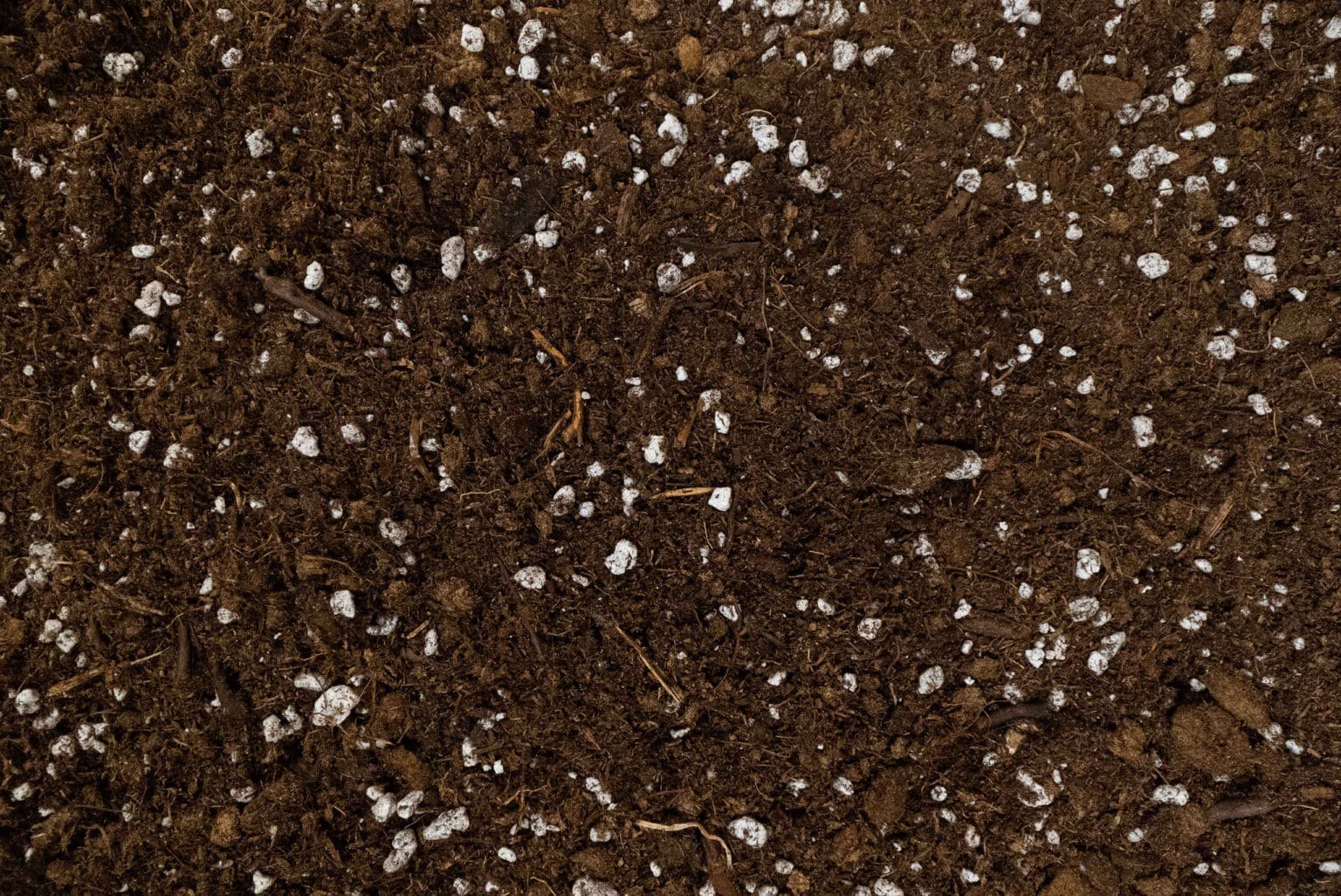 Lambert – Professional Organic All Purpose Mix | Nursery Supply Co.