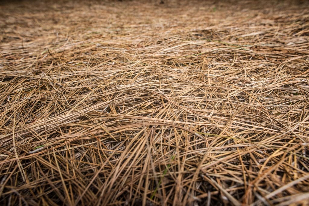 Pine Straw Bale | Nursery Supply Co.